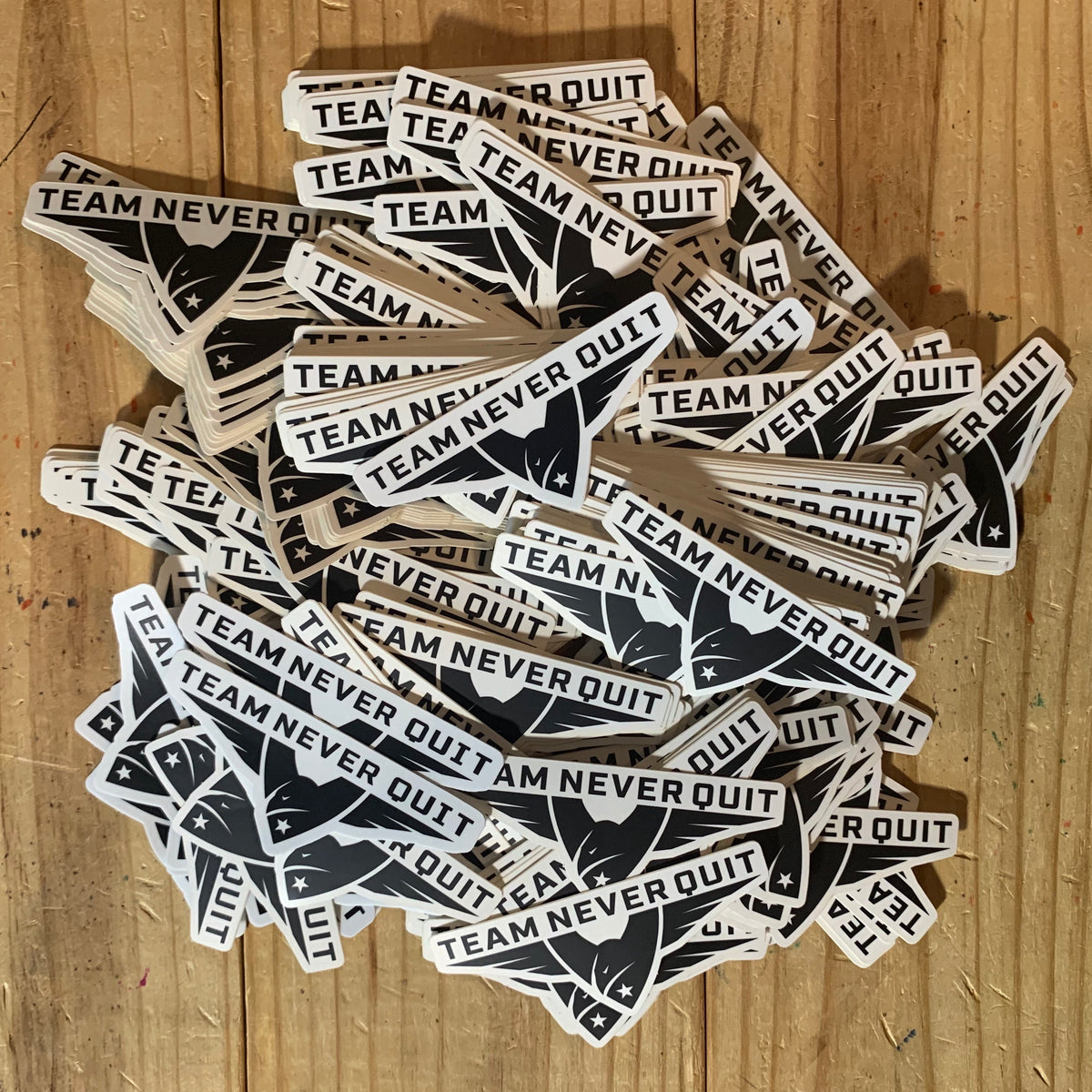 TNQ Logo Sticker – Team Never Quit